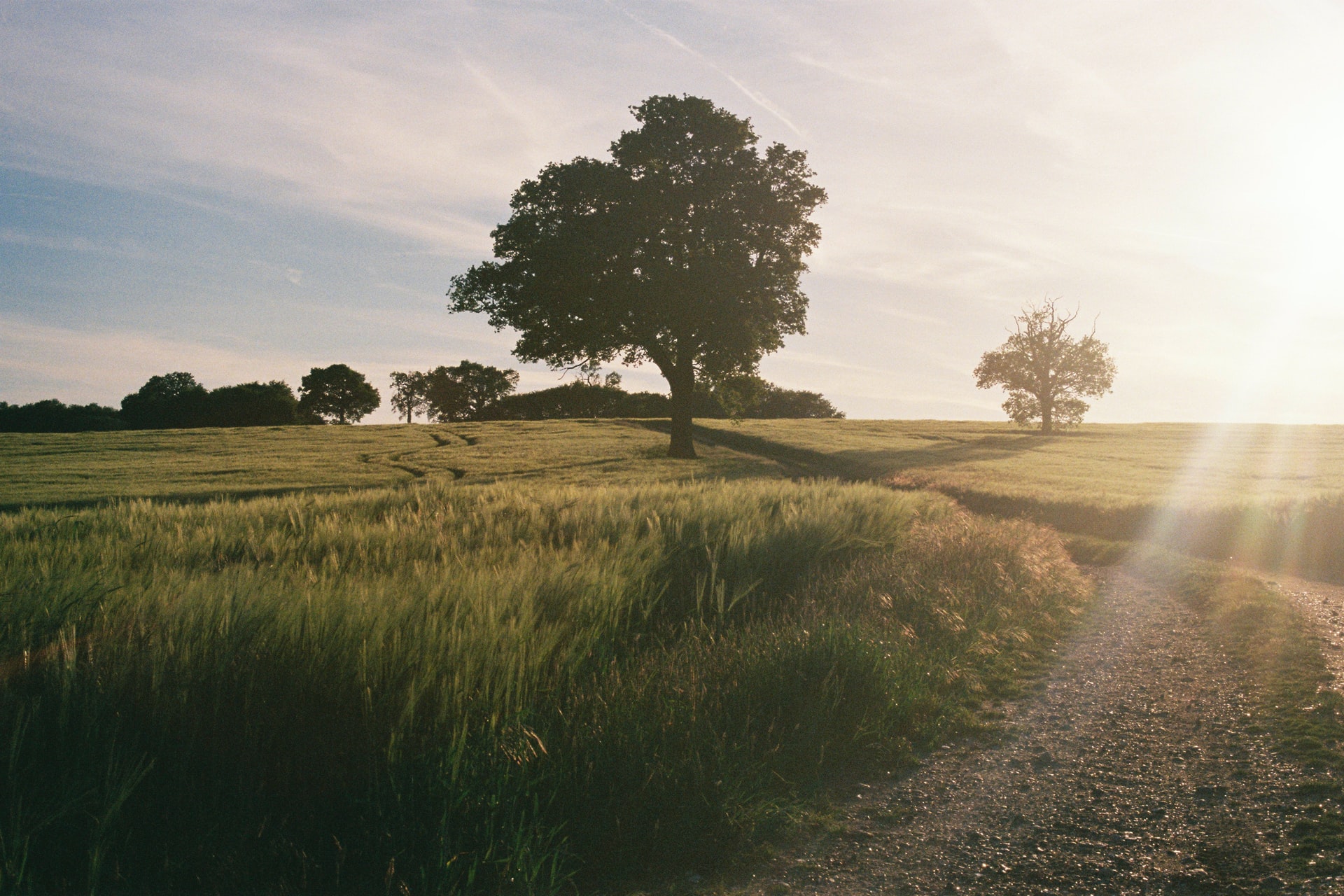 每周小聚：Typst 介绍 - LUG @ USTC